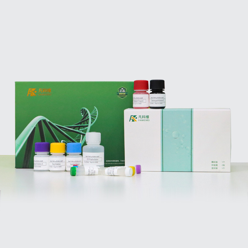 2 × Phanta Max Master Mix (Dye Plus) - 北京科瑞思普科技有限公司