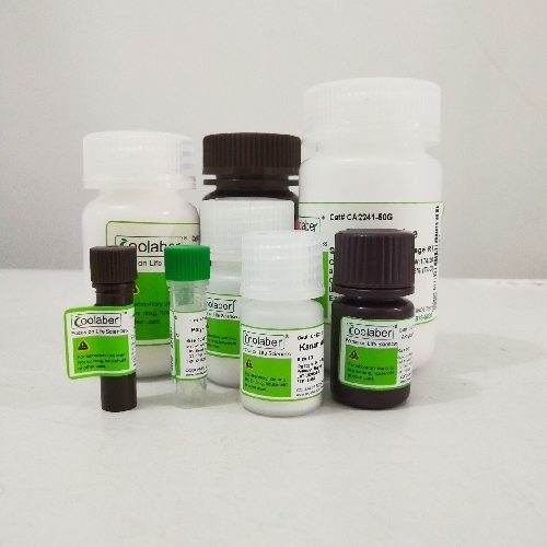 2 × Phanta Max Master Mix (Dye Plus) - 北京科瑞思普科技有限公司