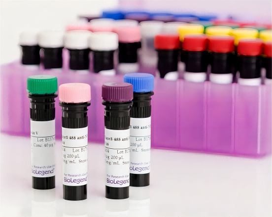 ClonExpress II One Step Cloning Kit - 北京科瑞思普科技有限公司